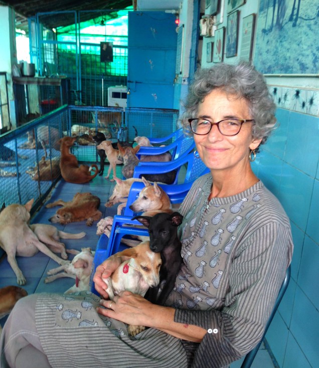 The dog ashram: Arunachala Animal Sanctuary and Rescue Shelter ...