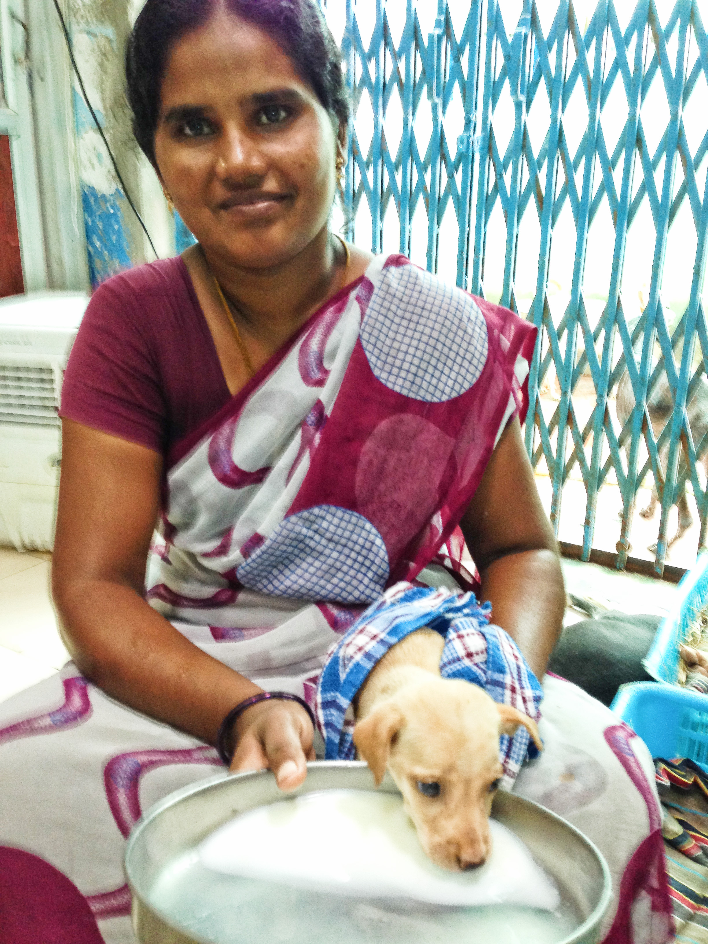 The dog ashram: Arunachala Animal Sanctuary and Rescue Shelter ...