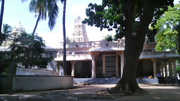 Settling in Tiruvannamalai and the Ramana ashram – Rambulatory