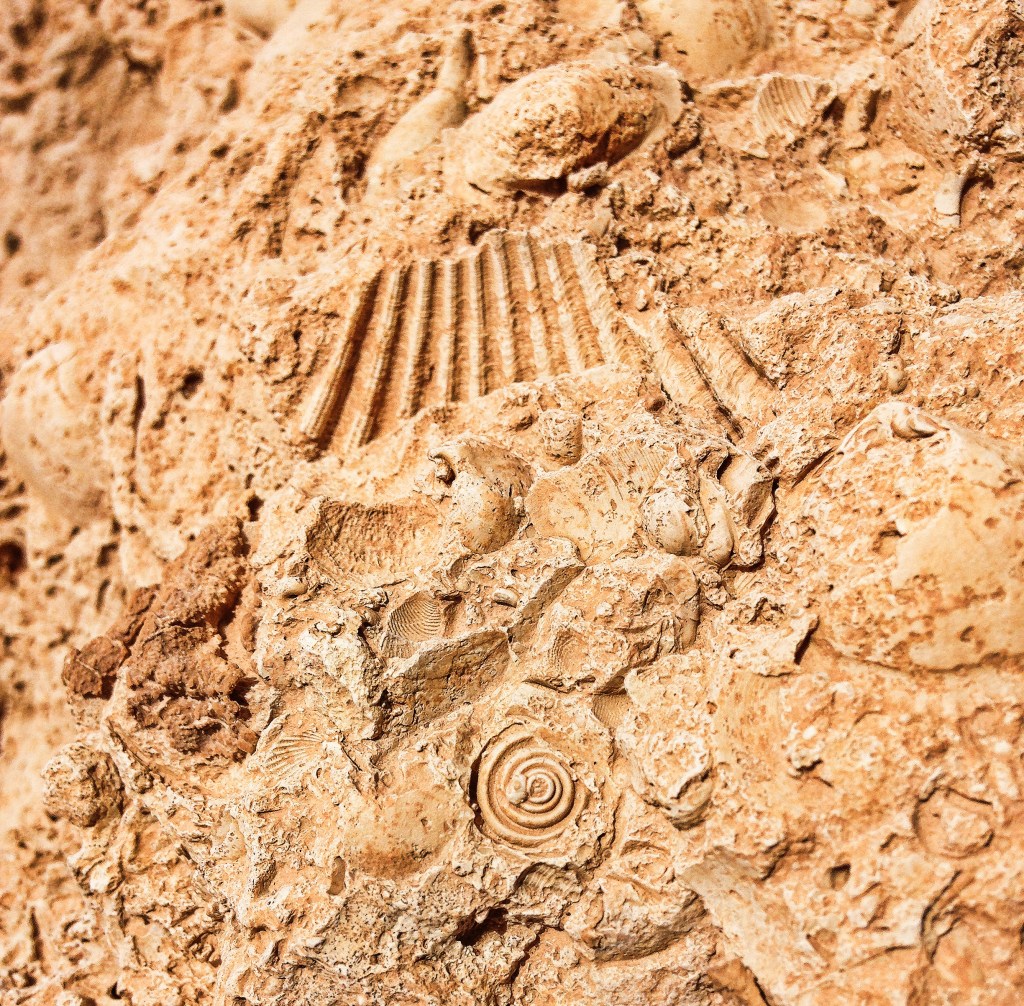 Fossils, tombs and demons: exploring Gebel el Dakrur – Rambulatory