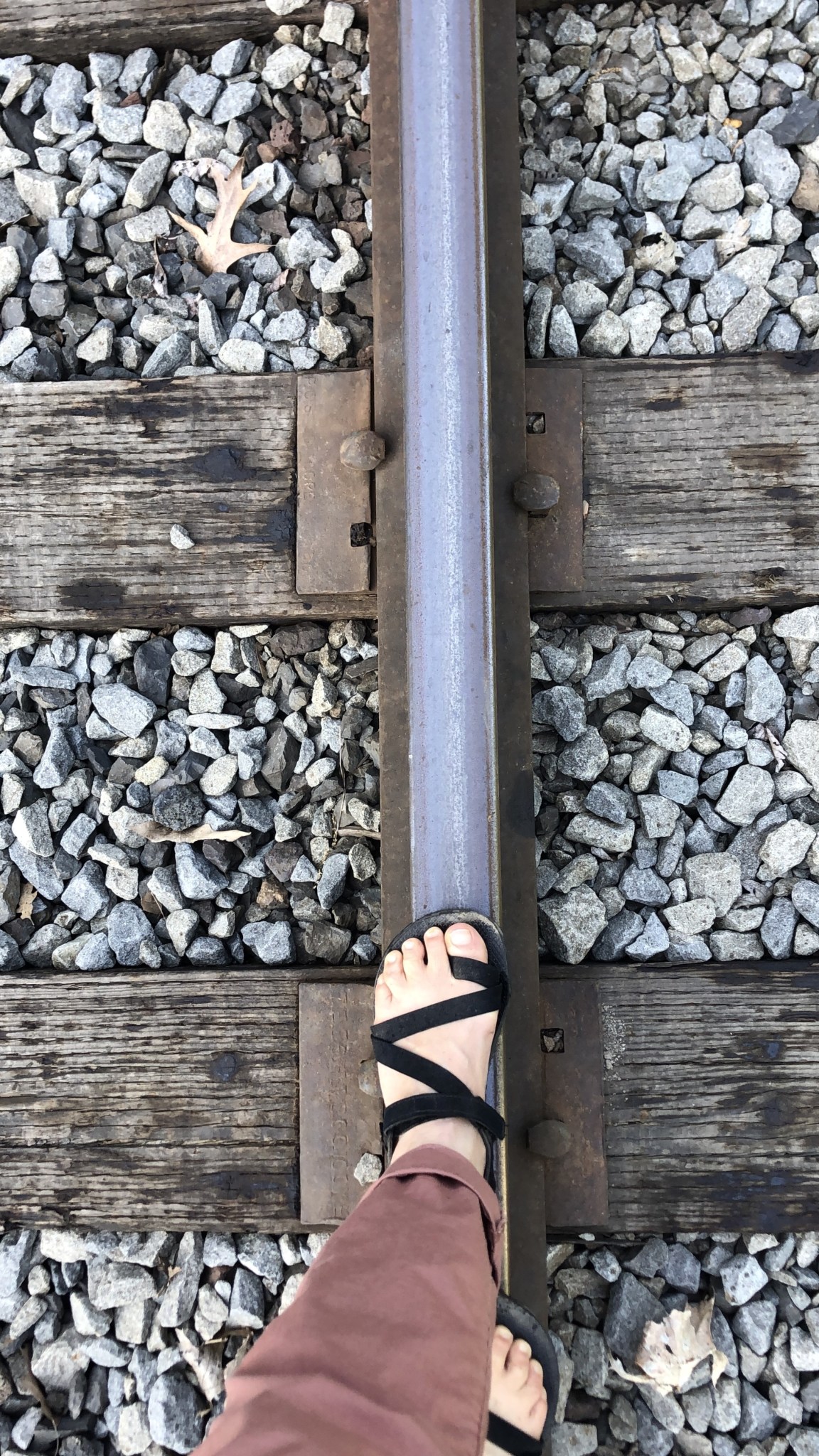 Walking the rails – Rambulatory